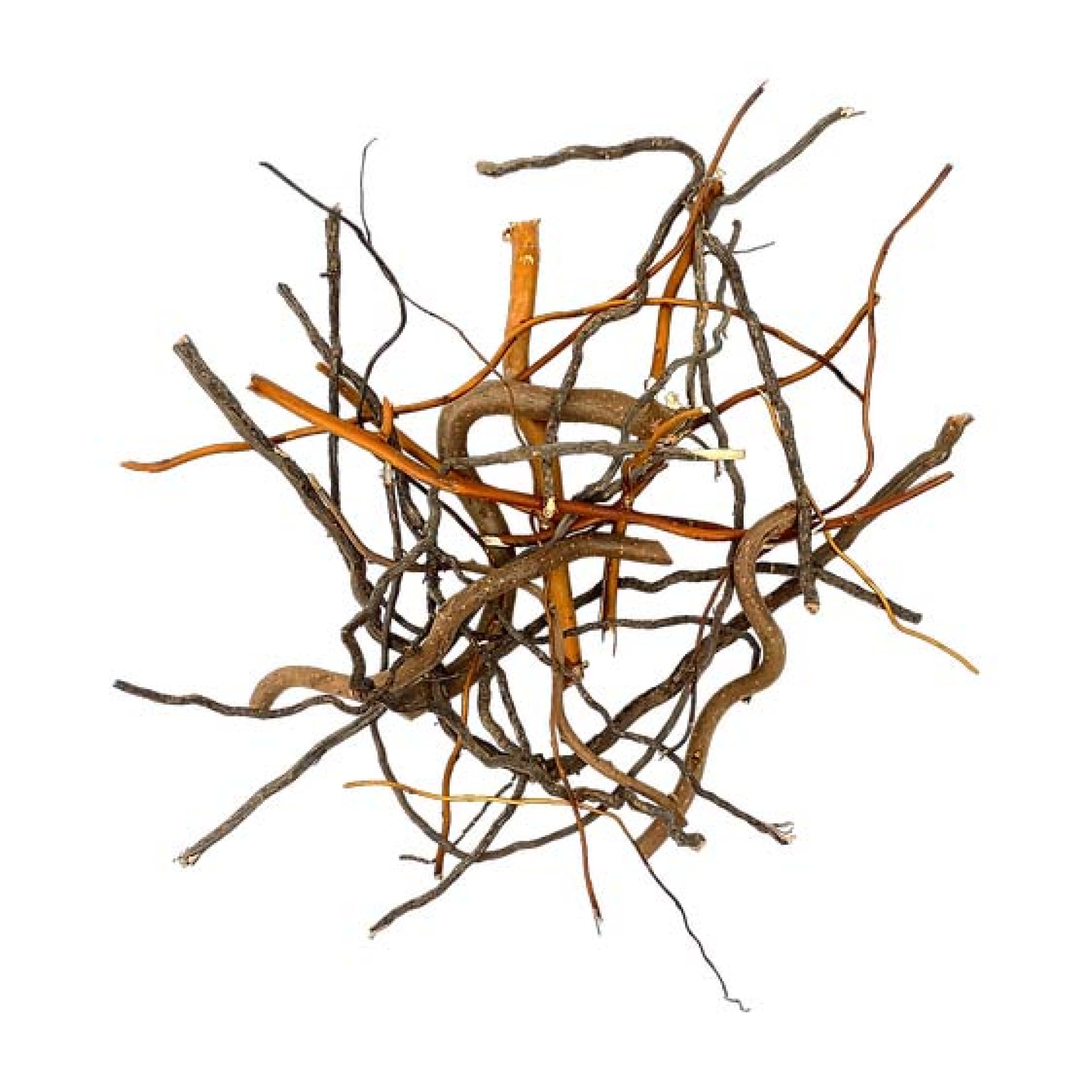 Wio Mix Root Size 10 40cm Mix 140g